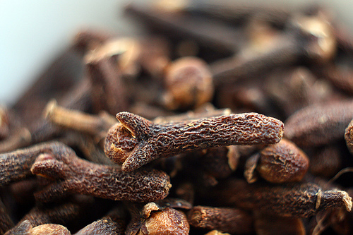 Cravo-da-índia: para que serve? - Melhor com Saúde