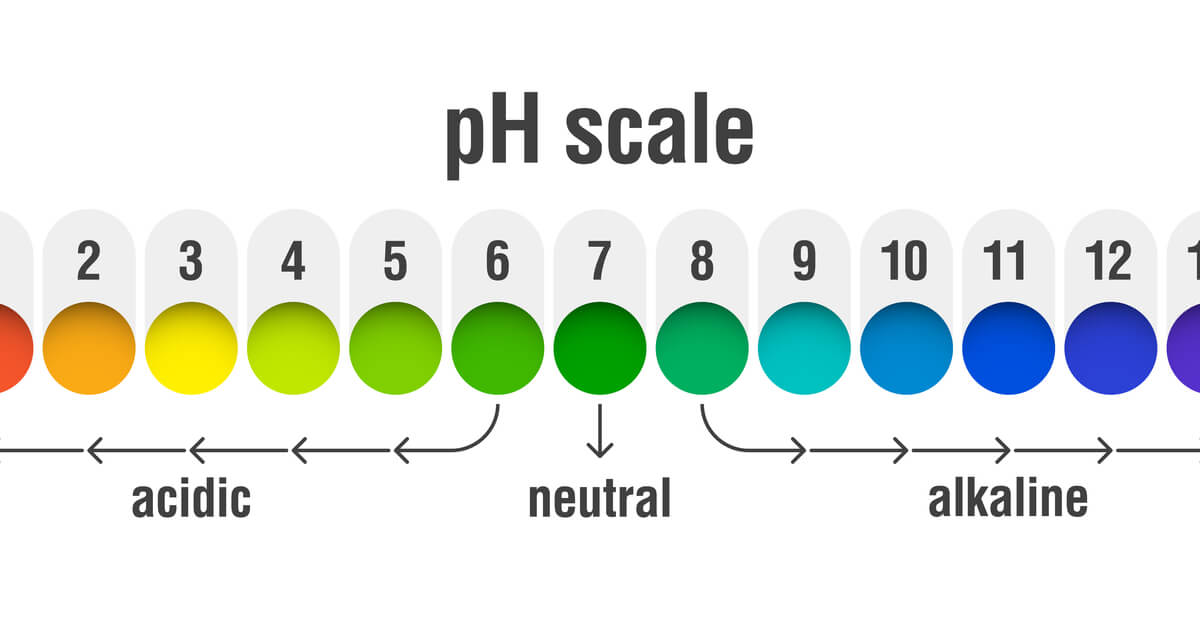 Os alimentos alcalinos: 7 combinações para comer todos os dias