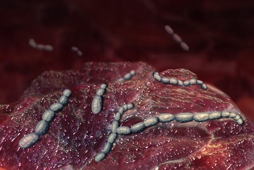 Escarlatina ou febre escarlate - Melhor Com Saúde