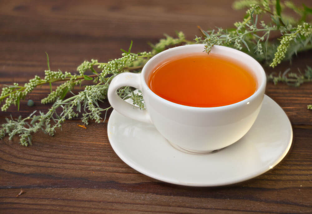 Descubra as surpreendentes e saudáveis propriedades do absinto - Melhor ...