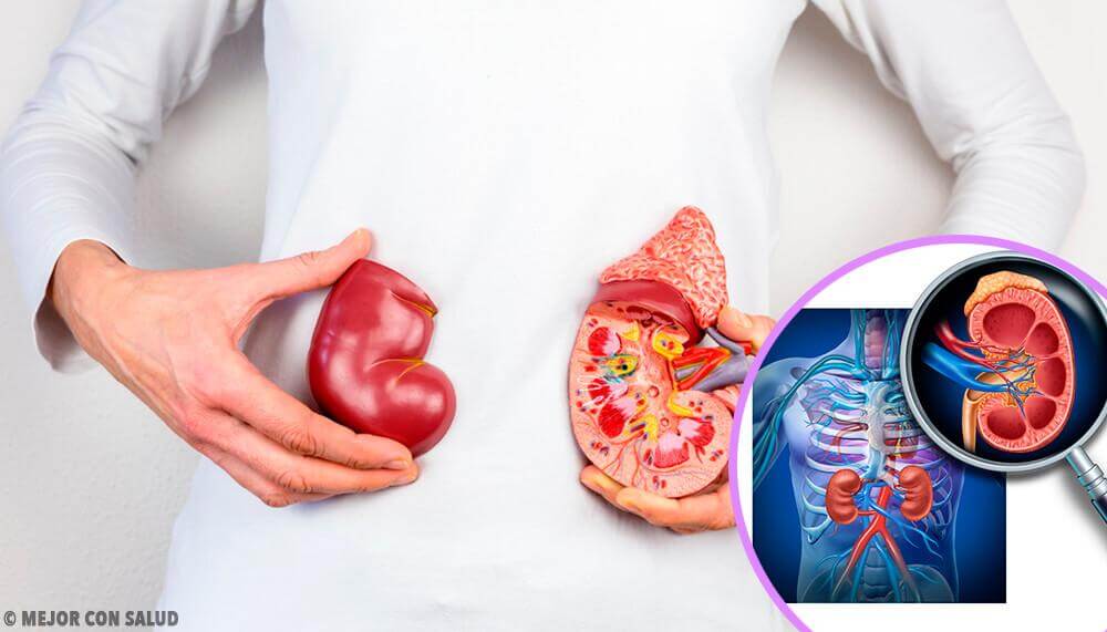 5 coisas que você deve saber sobre o transplante renal - Melhor Com Saúde
