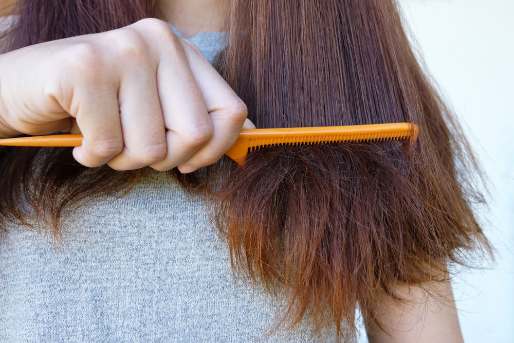 Hidratar o cabelo seco naturalmente com 5 remédios caseiros