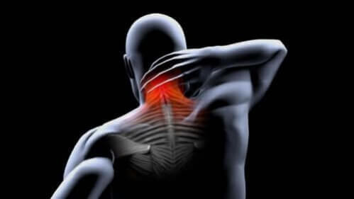 Contratura muscular, como evitá-la? - Melhor Com Saúde